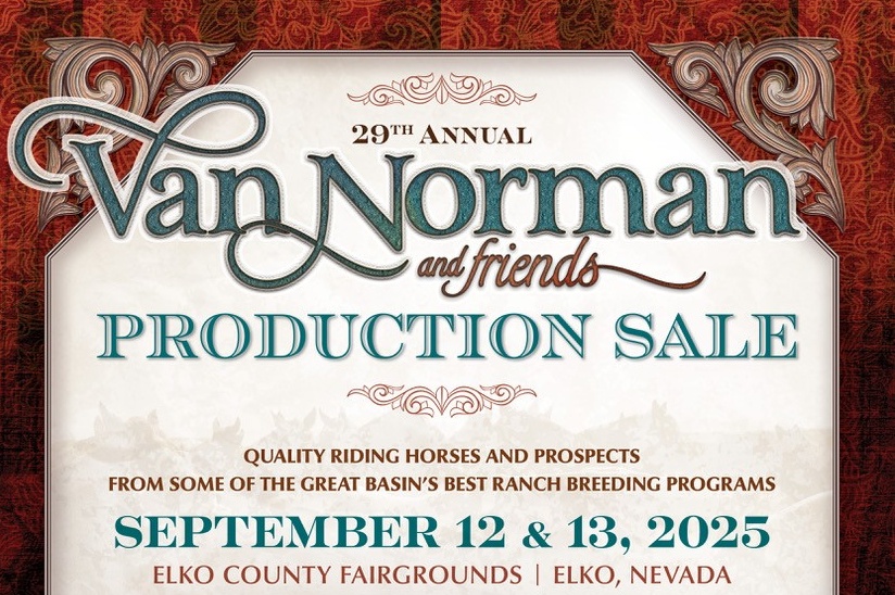 VIDEO PLAYLIST - Van Norman and Friends